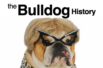 English Bulldog History | Bulliepupsrus.com